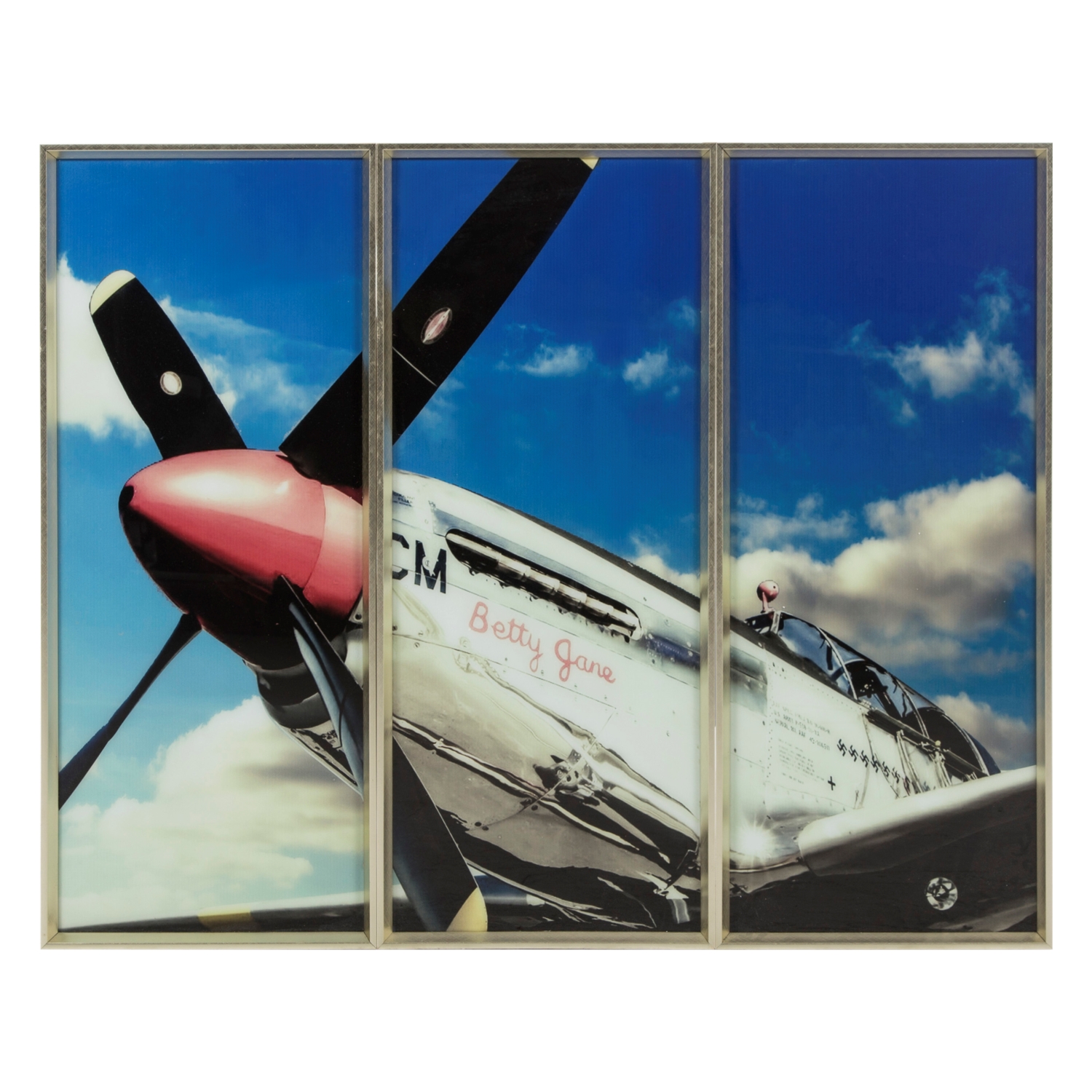 PLANE I 3'LÜ PANO 100*135CM | mudo